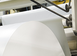 Pulp and Paper Plants